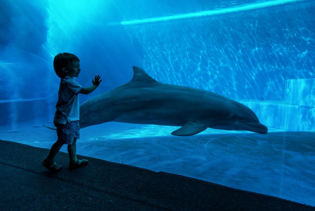 Home - BECSys Aquatics